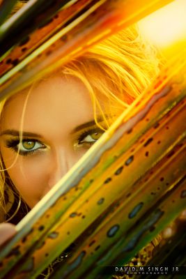 Idelia Mars